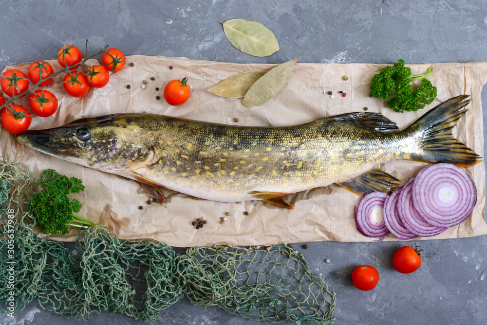 Big raw pike on the table. Fresh catch. Dietary product. Top view ...