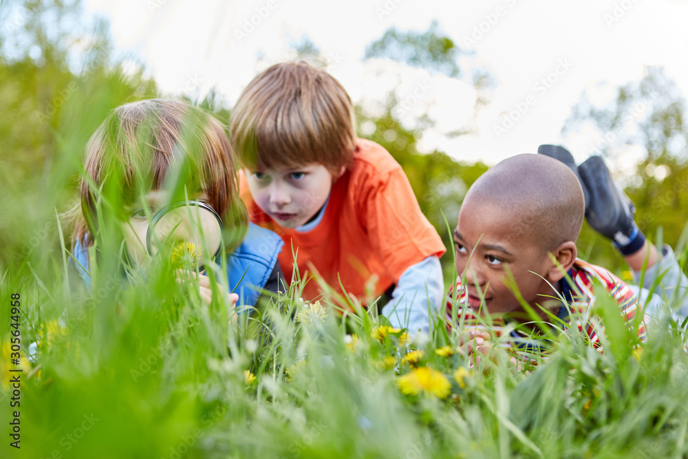 Drei Kinder als neugierige Forscher mit Lupe Stock Photo | Adobe Stock