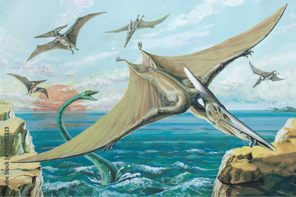 PTERANODON. One of the largest ever flying reptiles, with a wingspan of ...