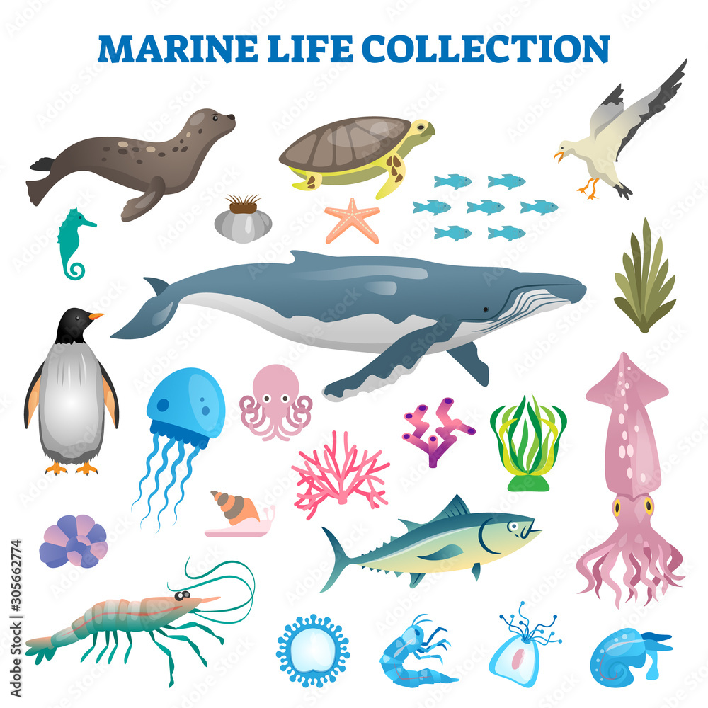 Marine life collection vector illustration. Sea and ocean wild fauna ...