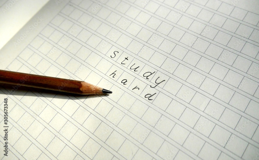 Photo of a plain wooden pencil on a notebook sheet with checks for ...