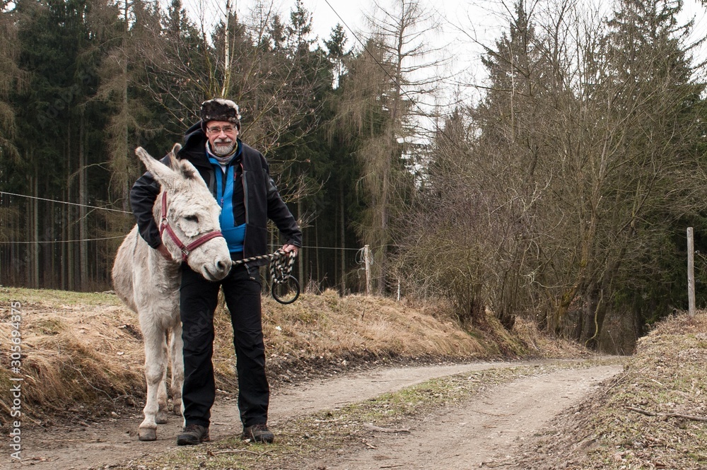 Foto de Teamwork - Wanderung mit Esel in Thüringen - Eselwandern ist ...