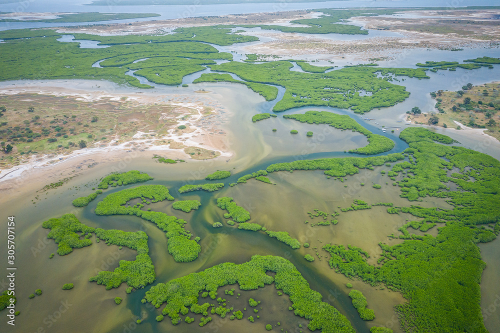 Foto de Senegal Mangroves. Aerial view of mangrove forest in the Saloum ...
