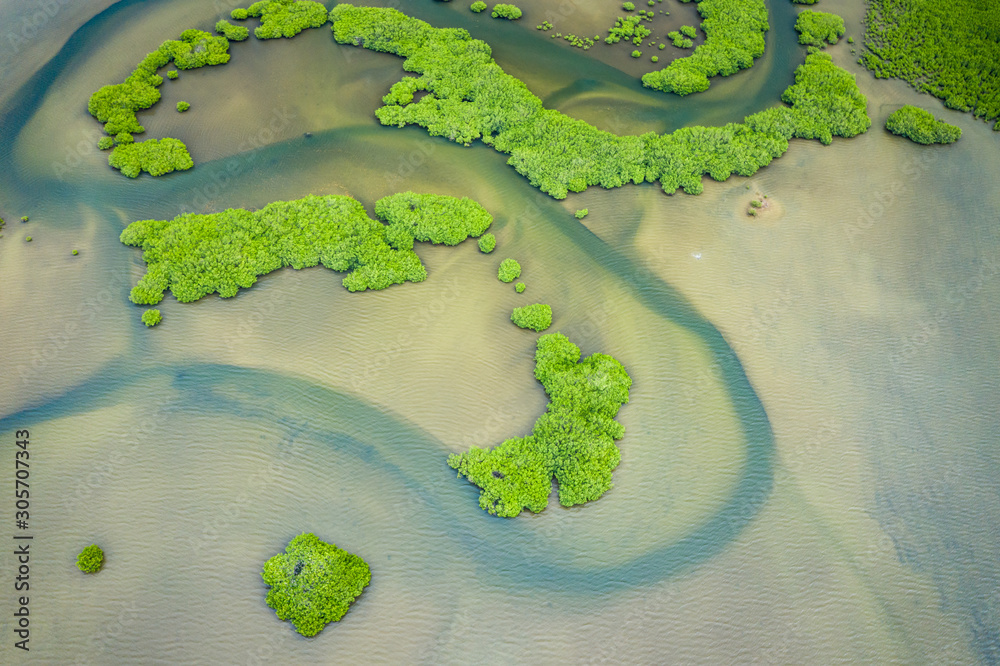 Senegal Mangroves. Aerial view of mangrove forest in the Saloum Delta ...