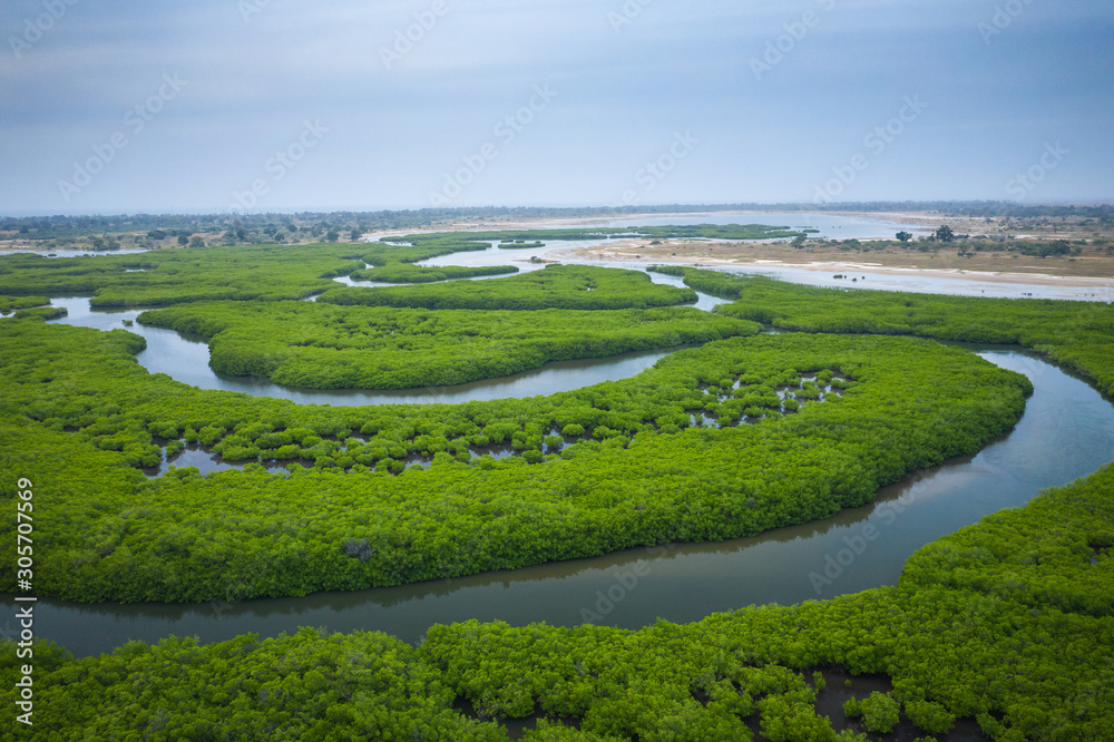 Senegal Mangroves. Aerial view of mangrove forest in the Saloum Delta ...