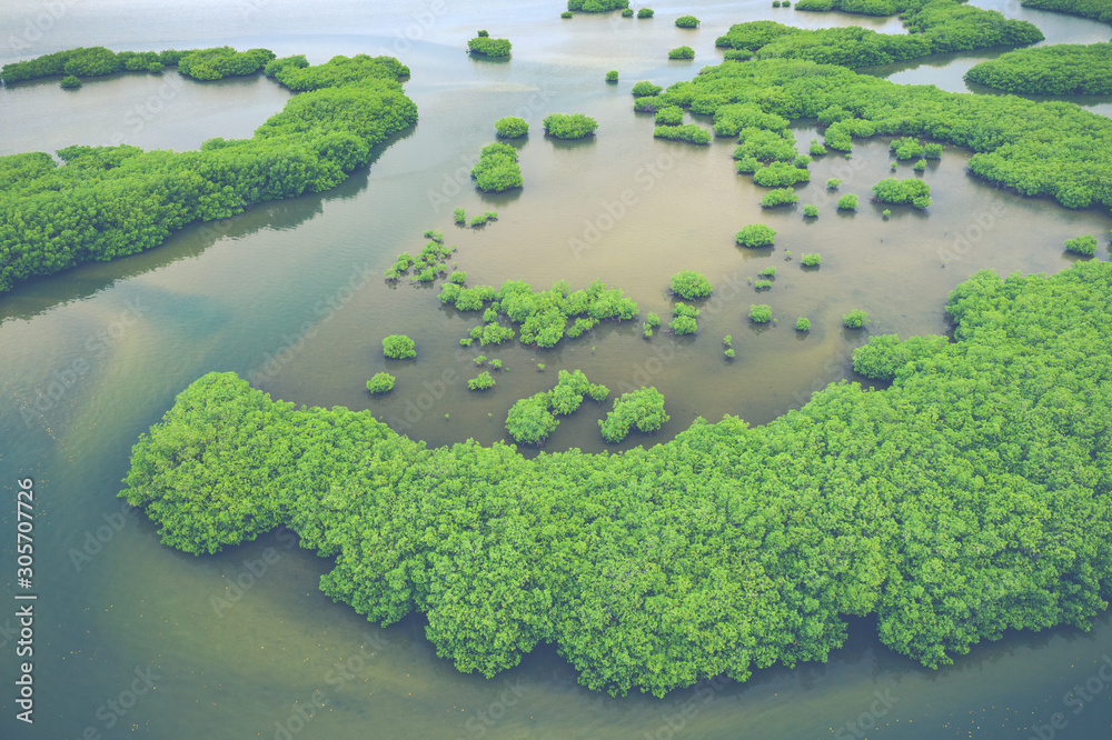 Senegal Mangroves. Aerial view of mangrove forest in the Saloum Delta ...