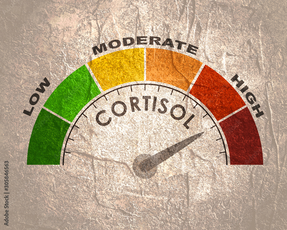 Hormone cortisol level measuring scale. Health care concept ...