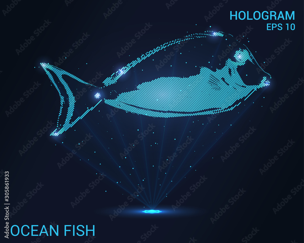 Hologram ocean fish. Holographic projection of an ocean fish ...