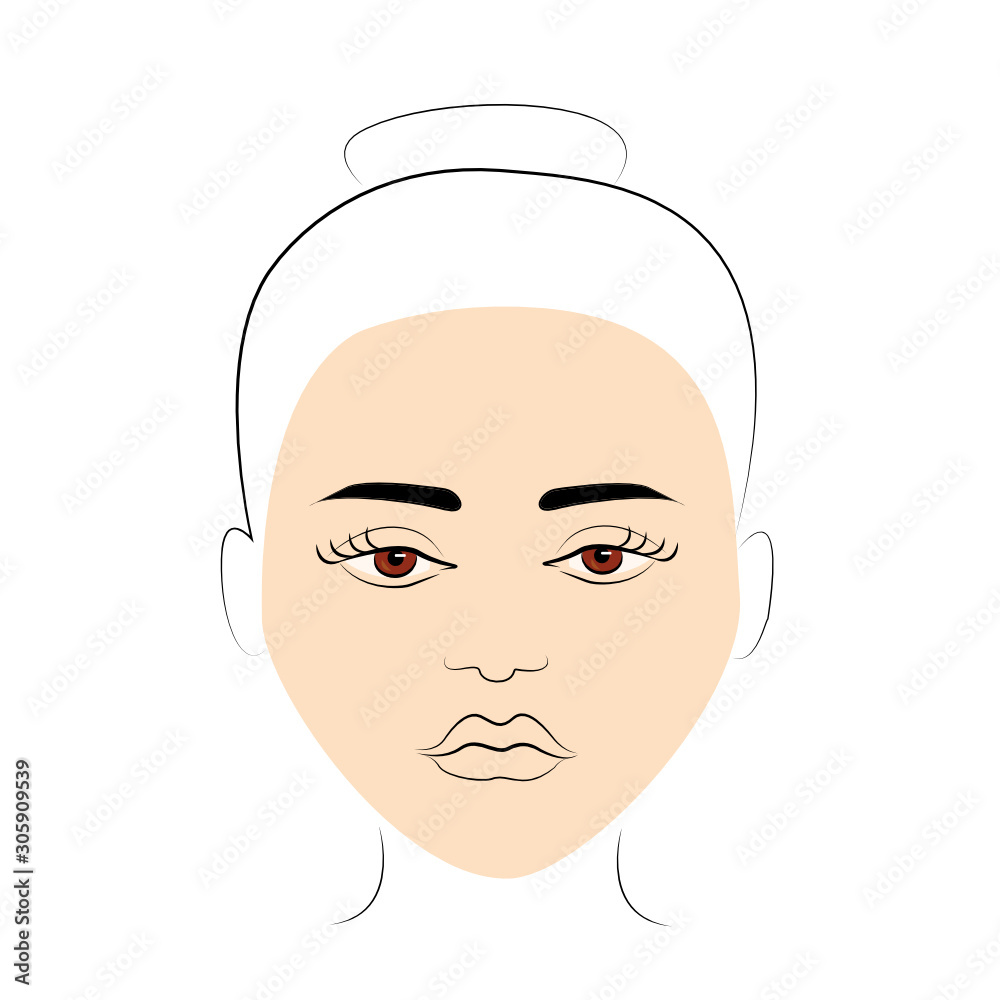 Illustration on a white background outline of the human female face for ...