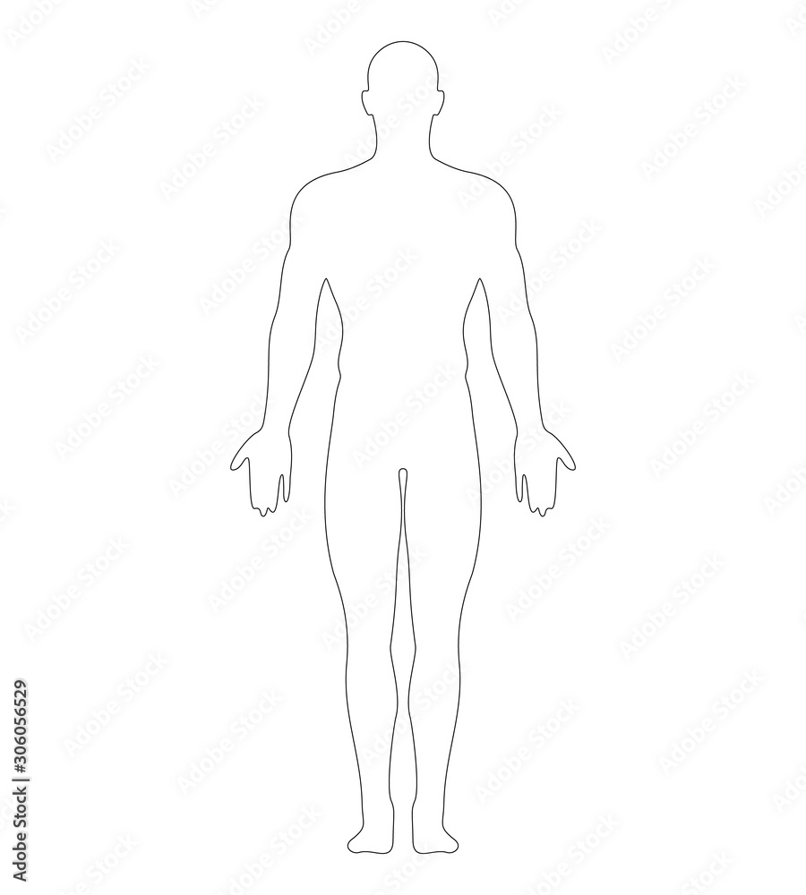 Anatomical Position Anterior View Male Body Vector Outline. Stock ...