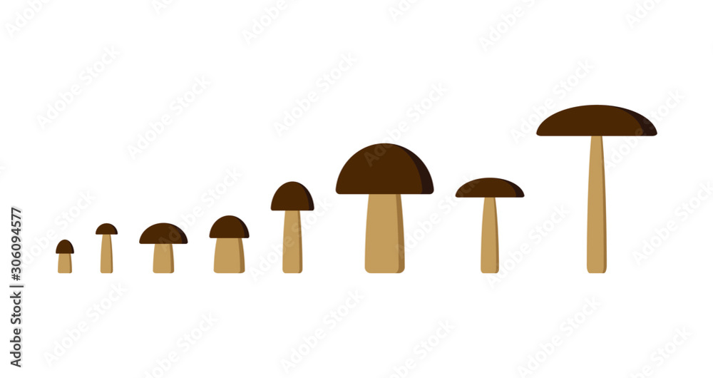 Cartoon style mushrooms in row. Simple shape different sizes. Vector ...