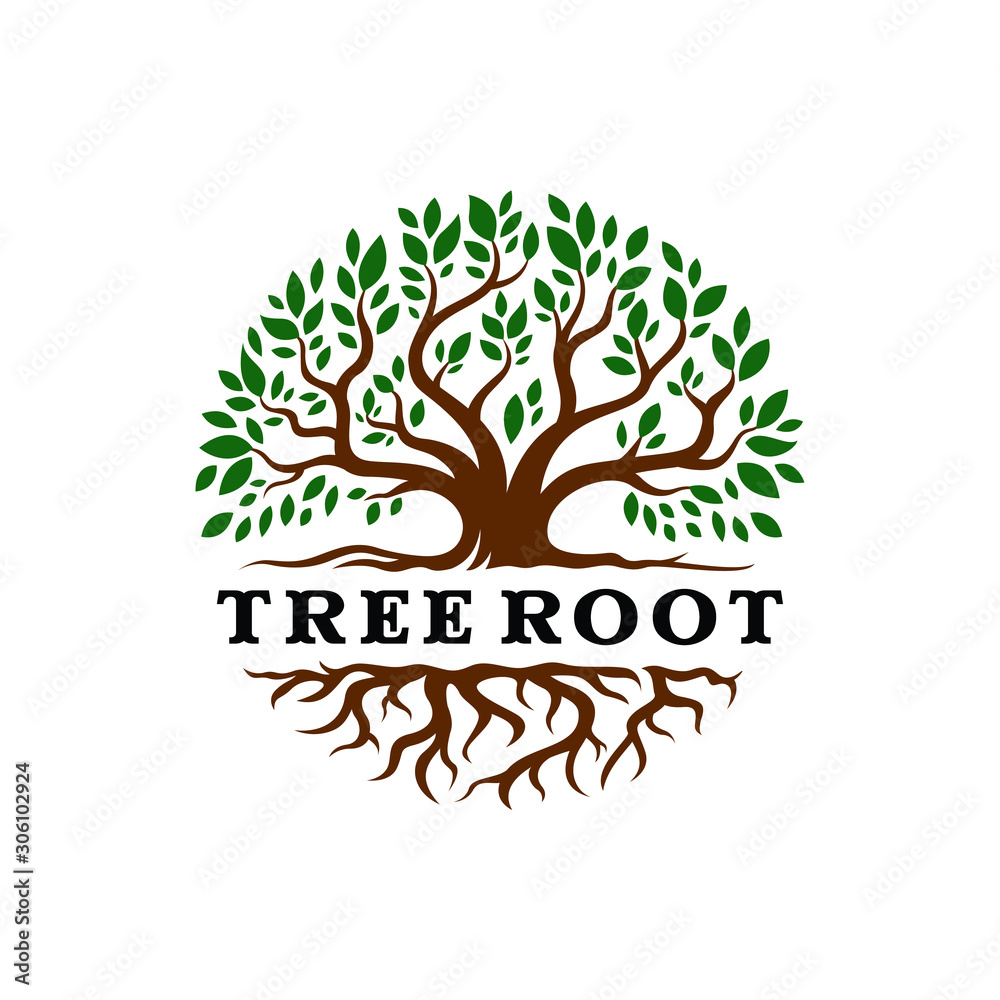 Tree root logo design isolated background. - vector Stock Vector ...