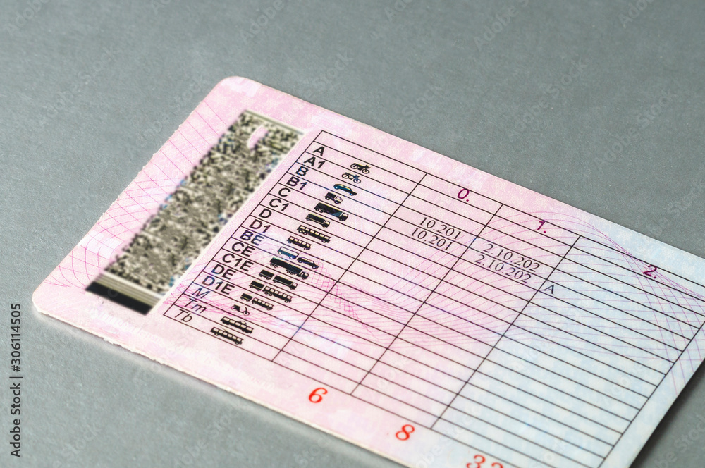 driver's license of the Russian sample Stock Photo | Adobe Stock