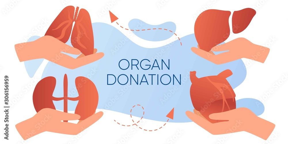 Vetor do Stock: Organ donation web banner, flyer. Hand holding human ...