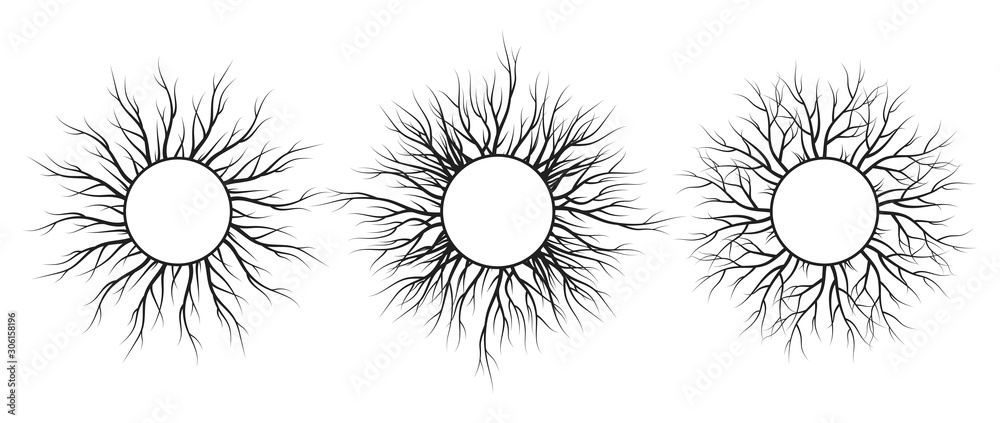 Tree root frame set. Vector isolated timber background. Natural wreath ...