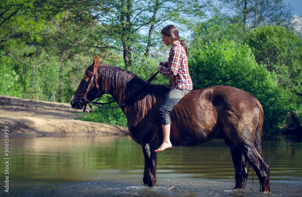 portrait of girl riding red trakehner stallion horse in the river in ...