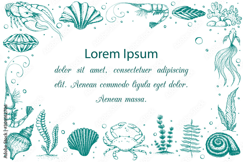 Vector horizontal seashells and marine life banner with place for text ...