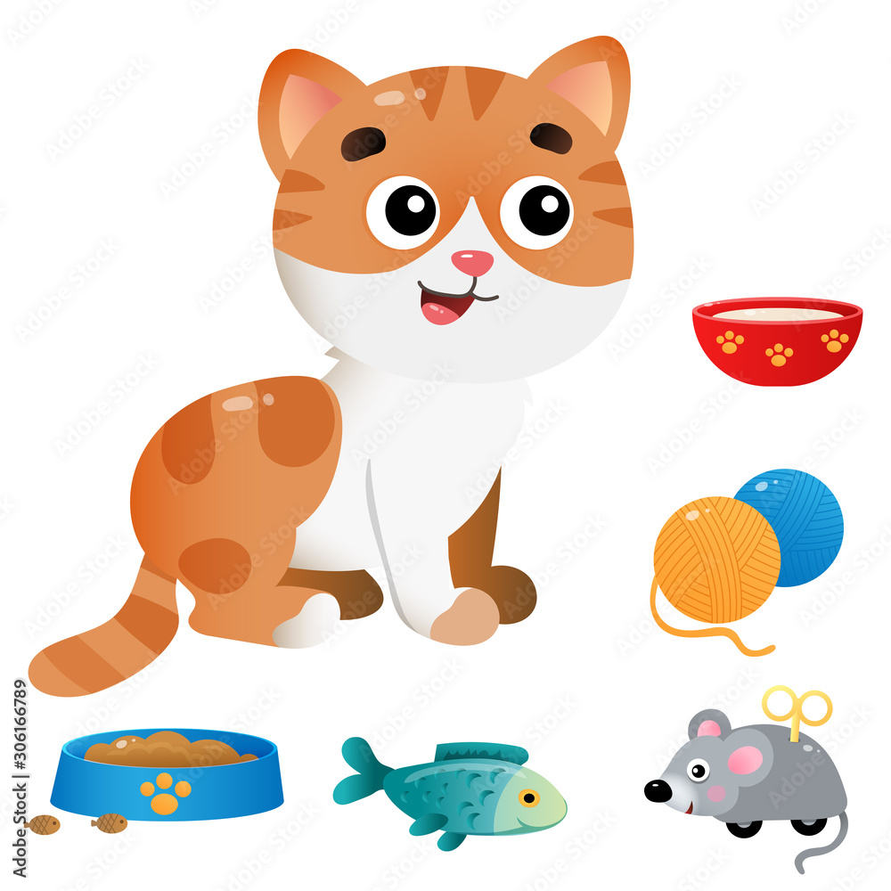Color images of cartoon cat with feed and toys on white background ...