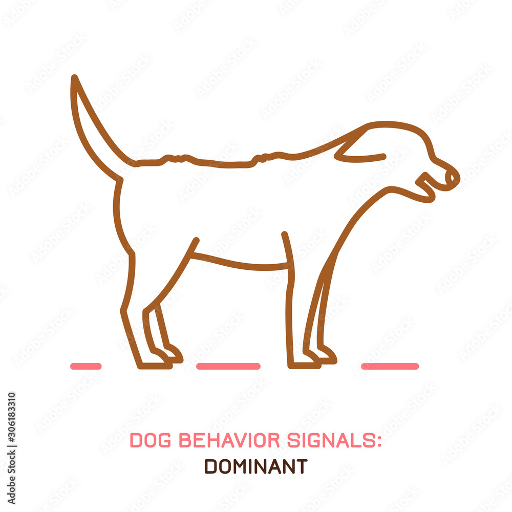 Dog behavior icon Stock Vector | Adobe Stock
