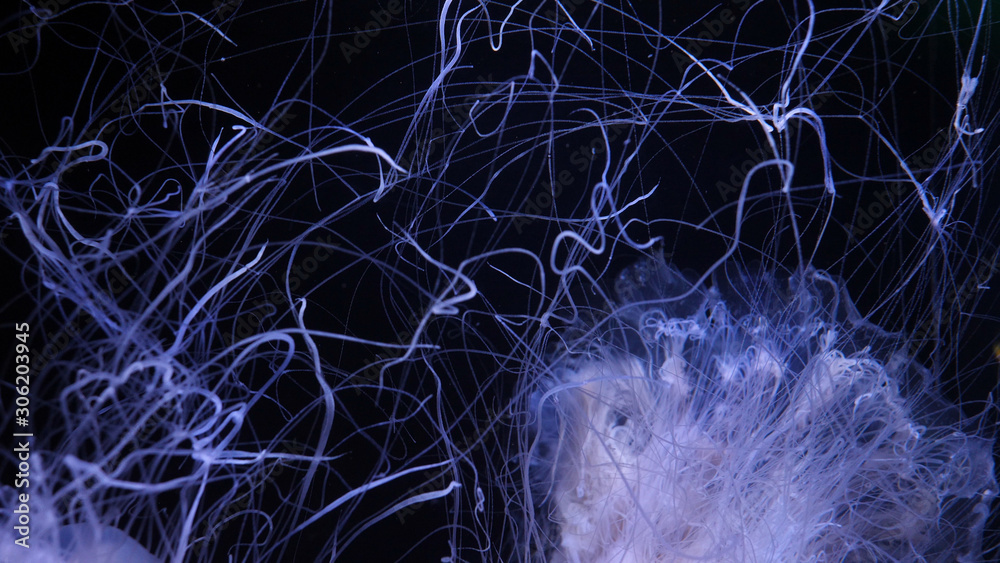 Germs microorganism cells under microscope. Viruses, bacteria and ...