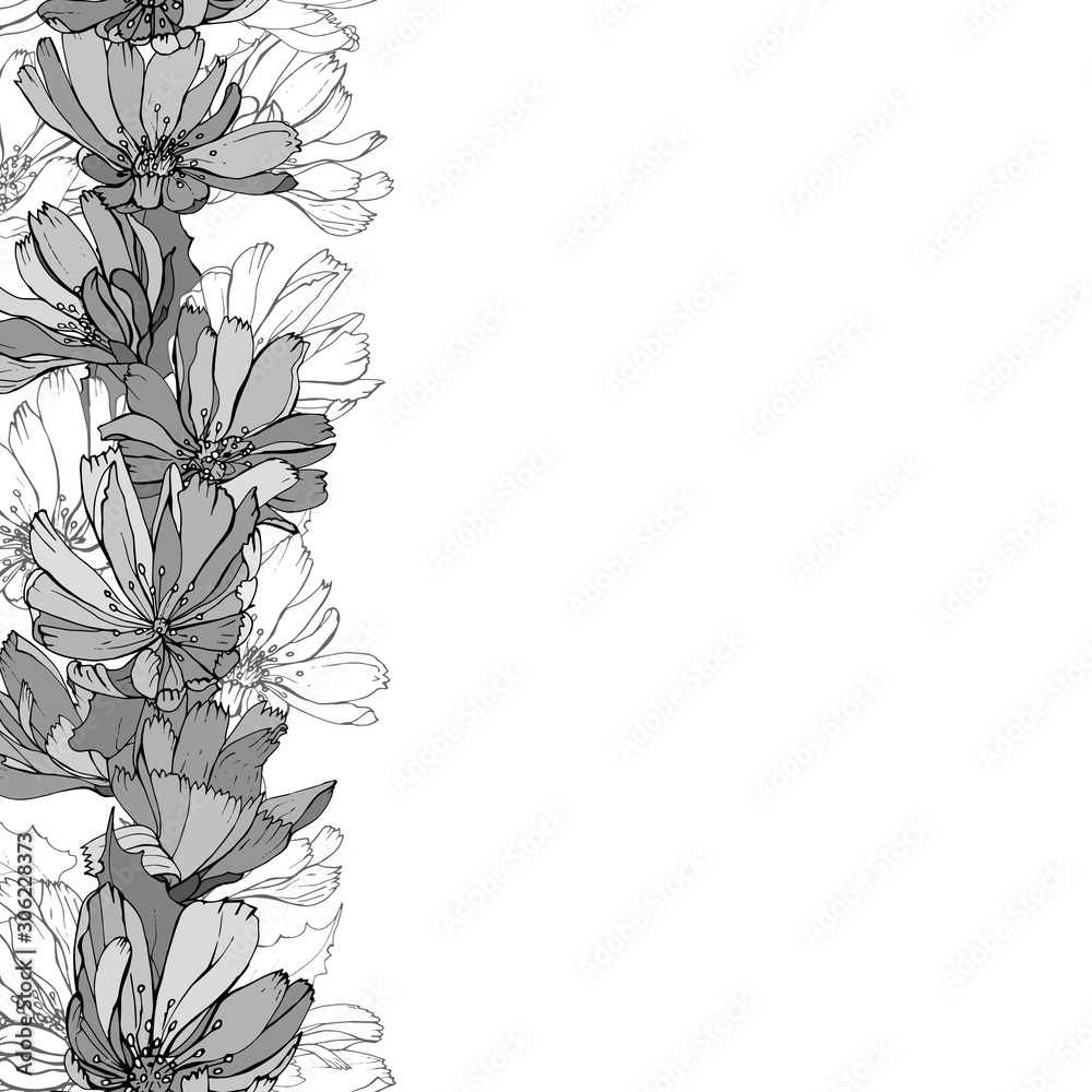 Monochrome floral vertical border with gray flowers chicory and leaves ...