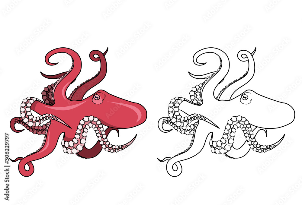 Octopus outline illustration isolated on white background. Stock vector ...