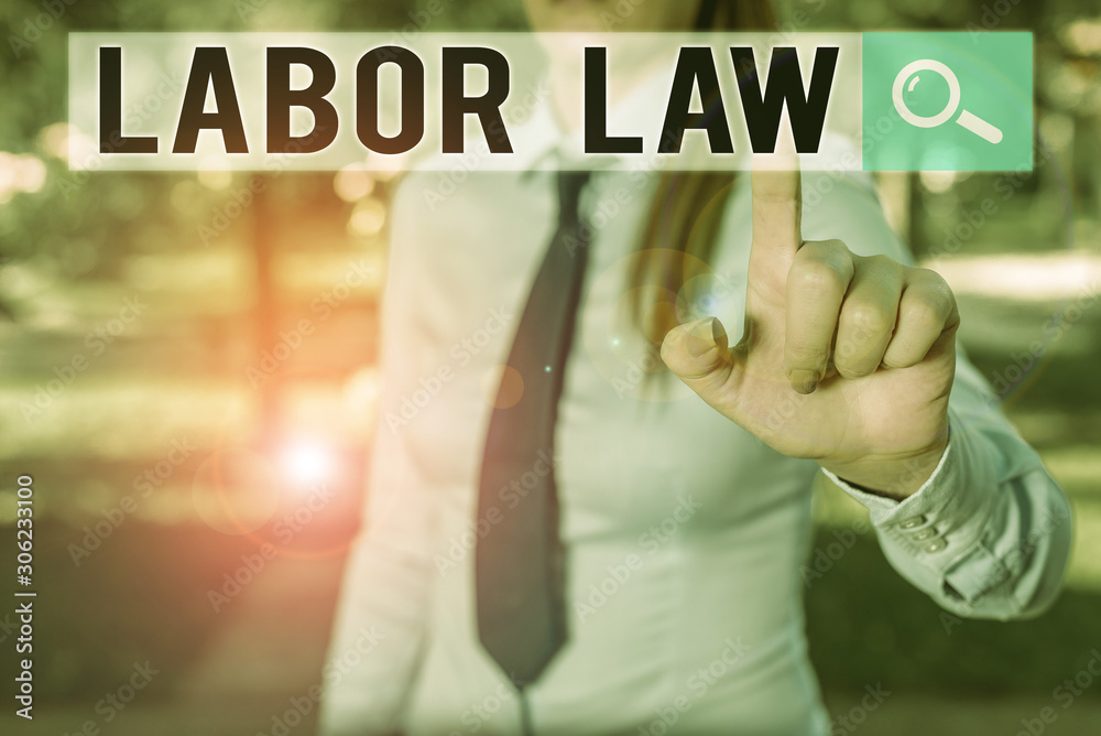 Writing note showing Labor Law. Business concept for rules relating to ...