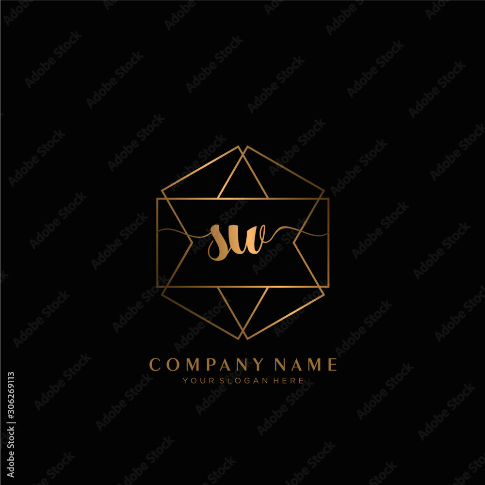 SW initial handwriting logo geometric template vector Stock Vector ...