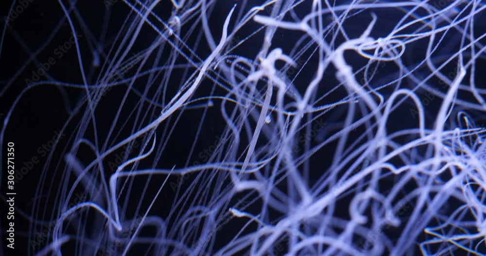 Germs microorganism cells under microscope. Viruses, bacteria and ...