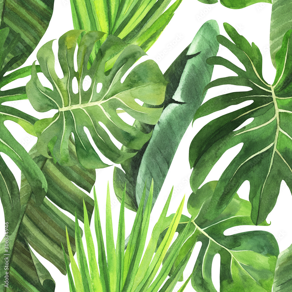 Tropical seamless pattern with tropical leaves, palm banana monstera on ...