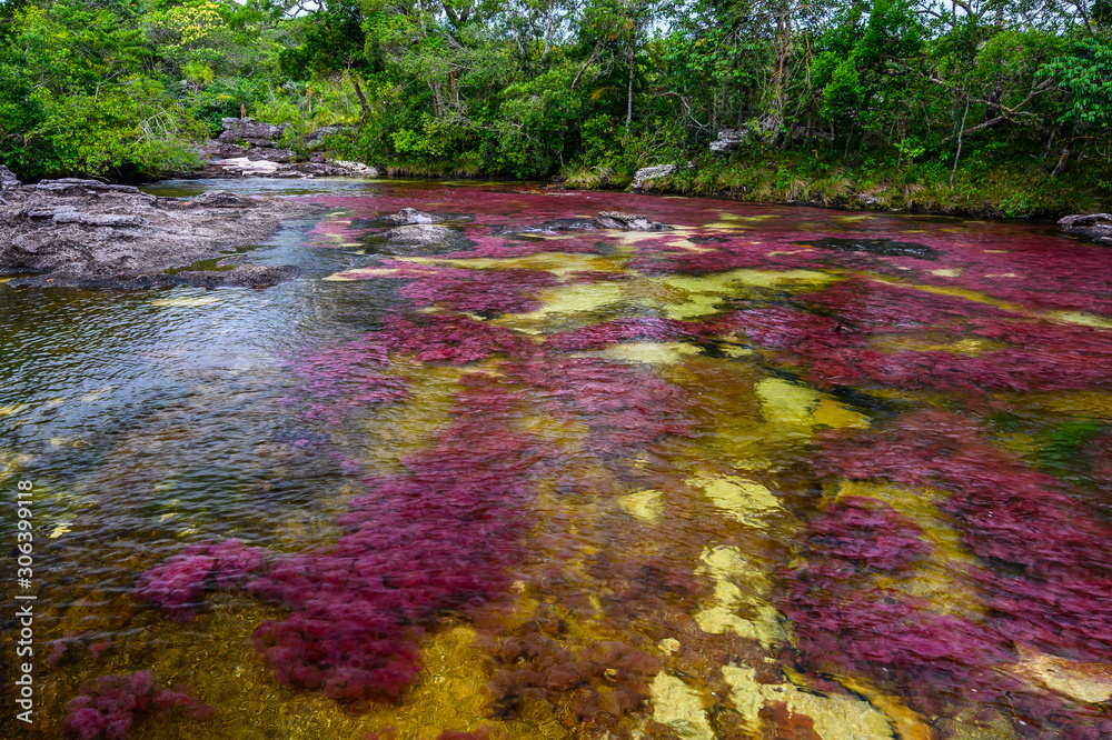 The rainbow river or five colors river is in Colombia one of the most ...