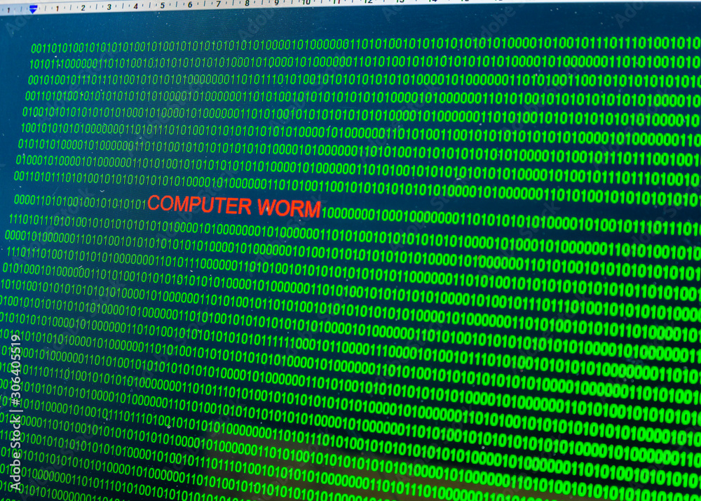 Computer Worm Code