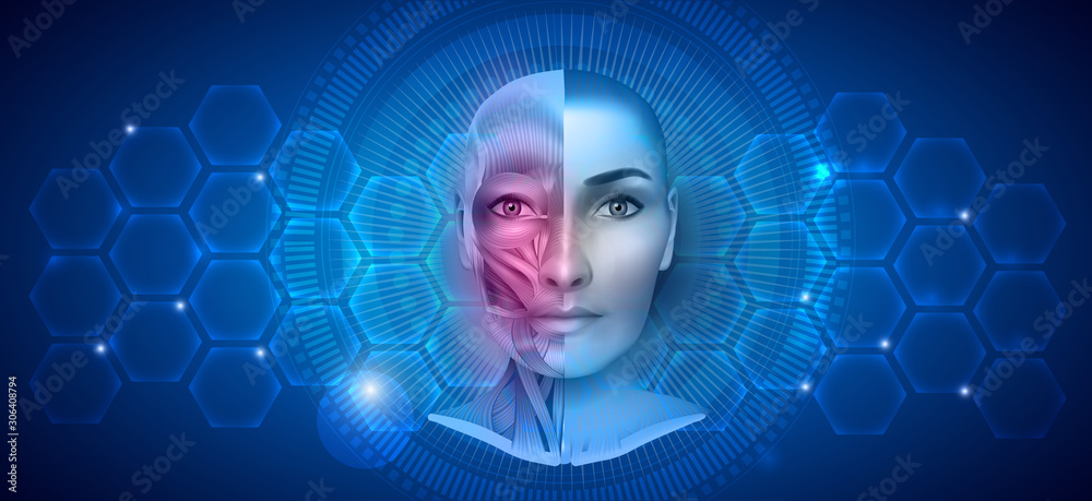 Muscles structure of the female face and neck, half of the face muscles ...
