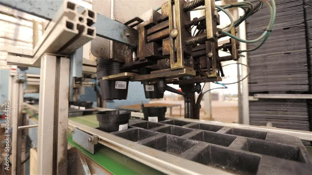 Automated line in the greenhouse for growing flowers. Automated line at ...