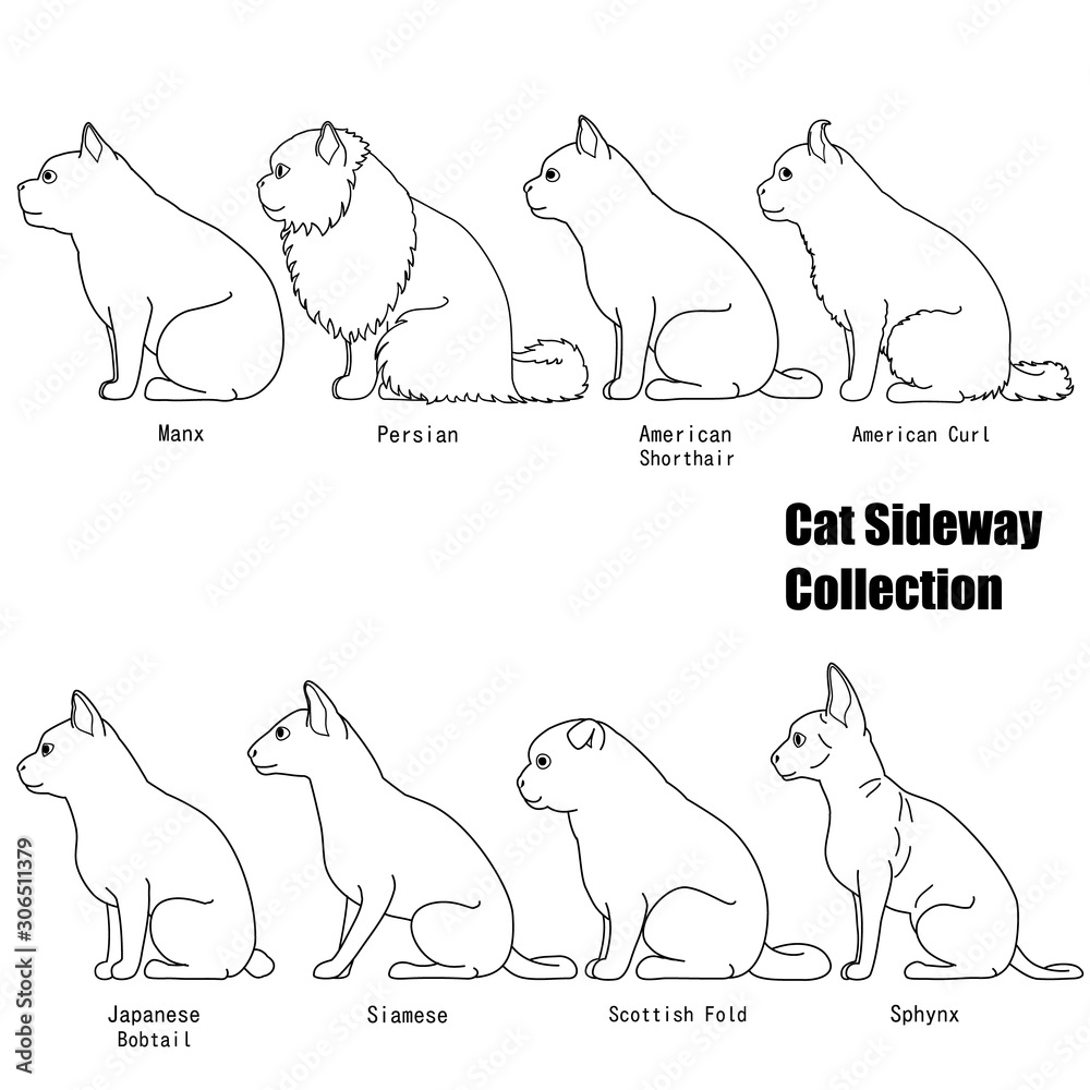Sitting Cat Side