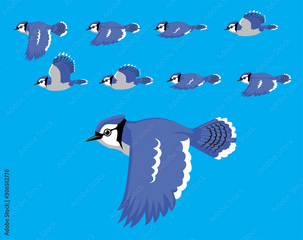 Animal Animation Sequence Blue Jay Flying Cartoon Vector Stock Vector ...