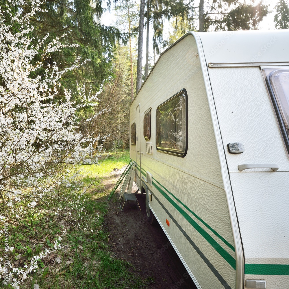 Caravan trailer on a forest road under a blooming tree in Spring Stock ...