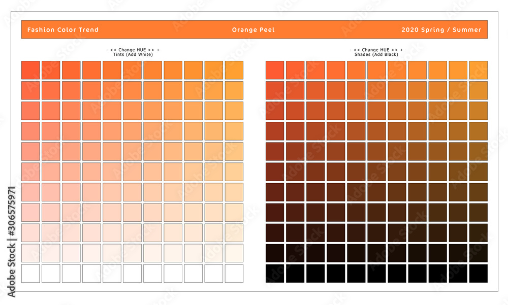 2020 Spring / Summer Colors Palette / Orange Peel / for Textile Prints ...