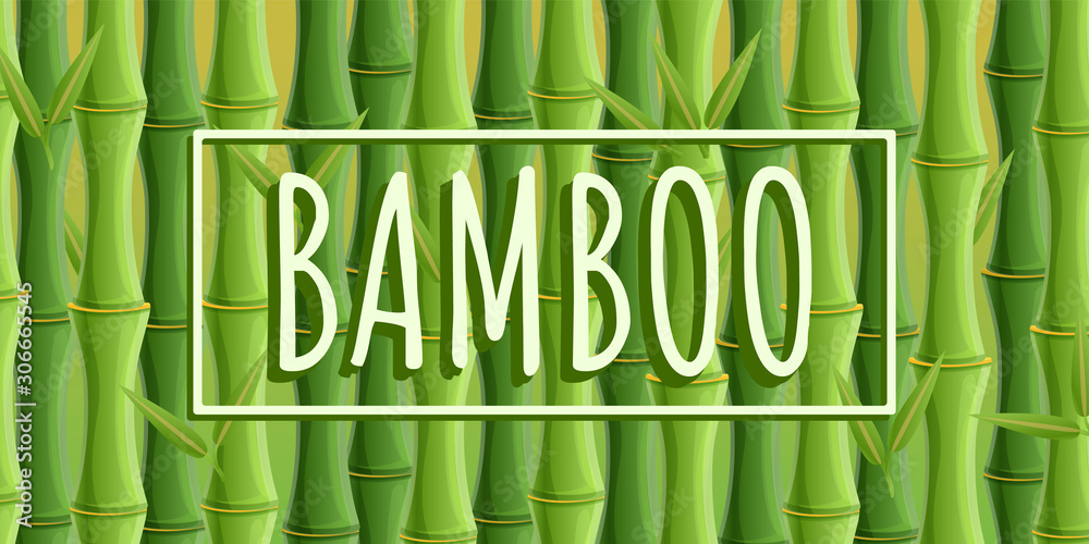 Bamboo concept banner. Cartoon illustration of bamboo vector concept ...