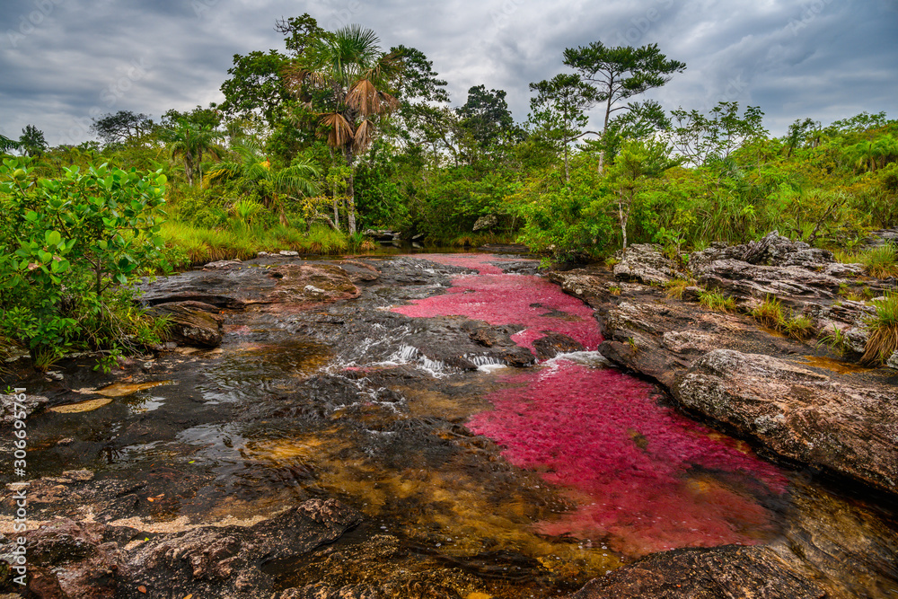 The rainbow river or five colors river is in Colombia one of the most ...