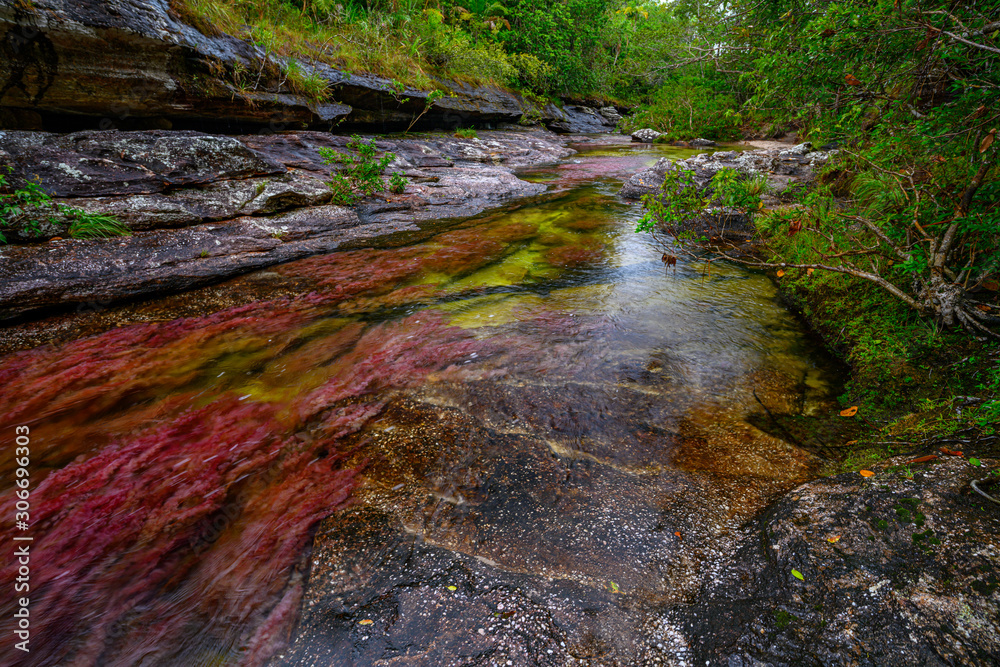 The rainbow river or five colors river is in Colombia one of the most ...