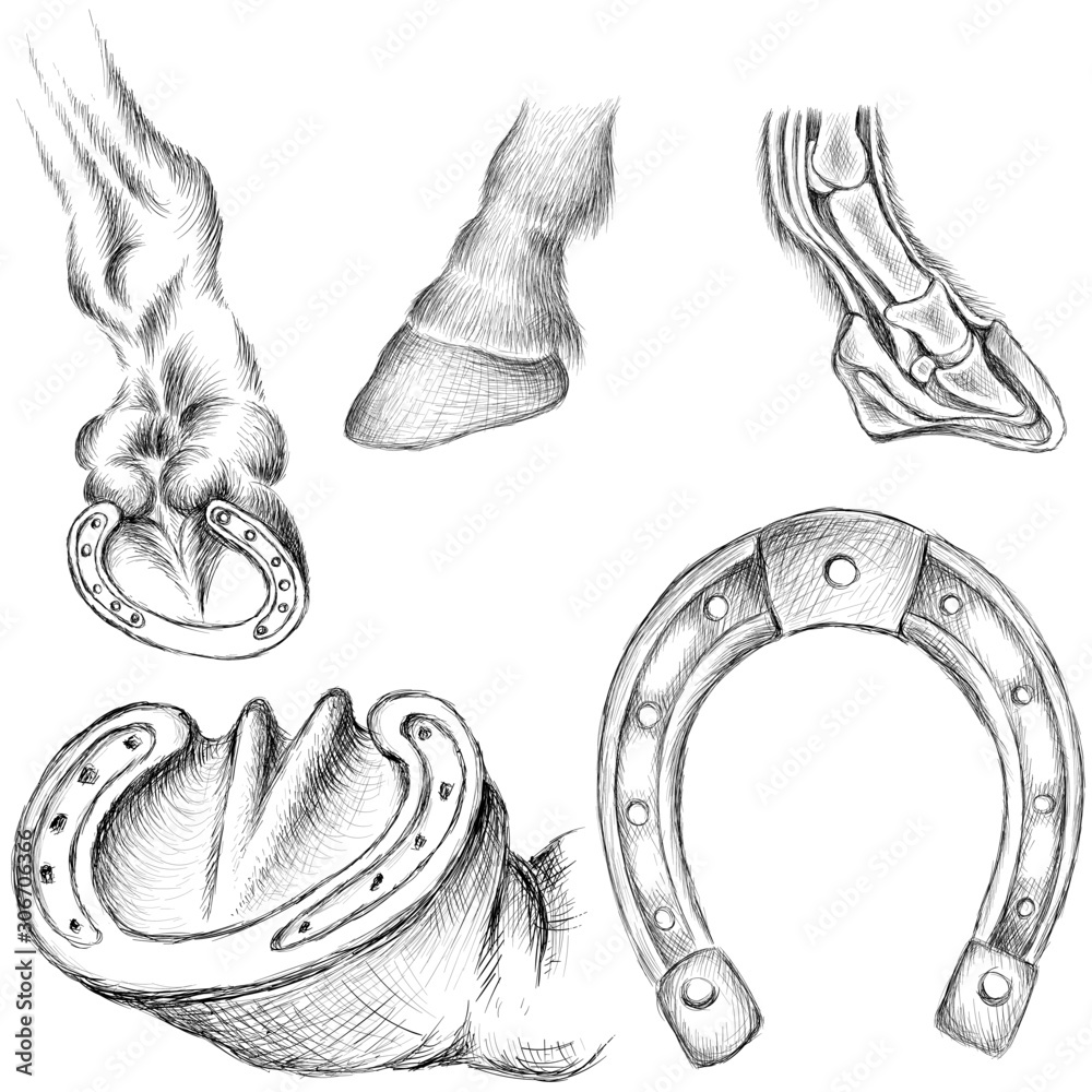 Vecteur Stock The Vector logo horse hoof for T-shirt design or outwear ...