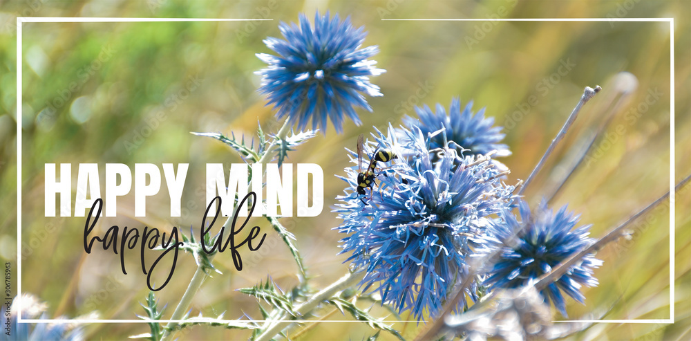 Happy mind, happy life. Wording design, lettering. Beautiful ...