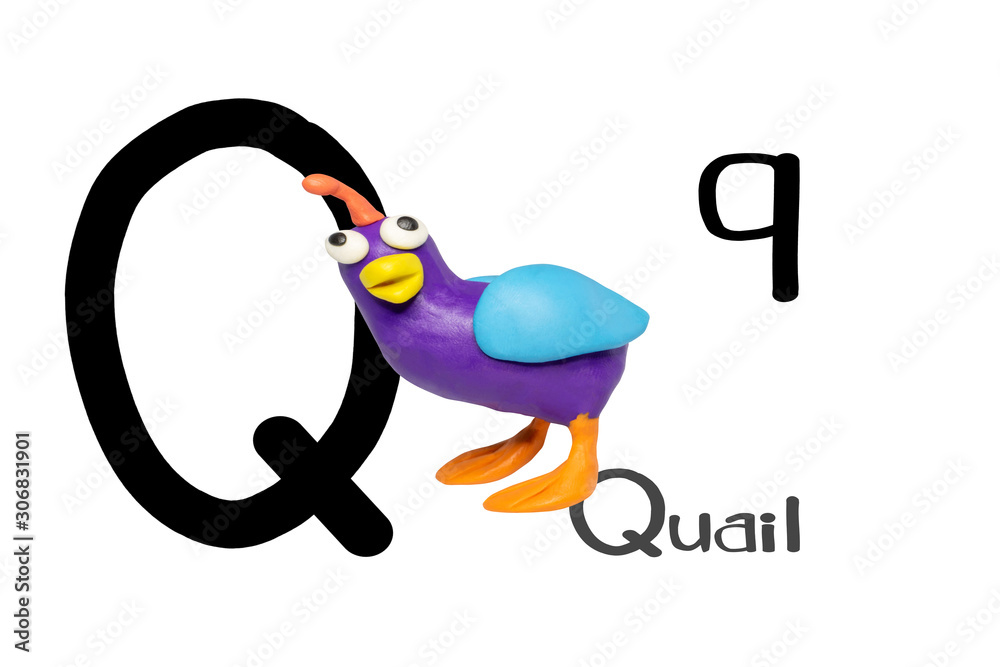 Cartoon characters, Quail isolated on white background. Stock ...