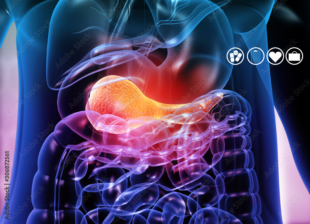 Human body with digestive system on medical background. 3d illustration ...
