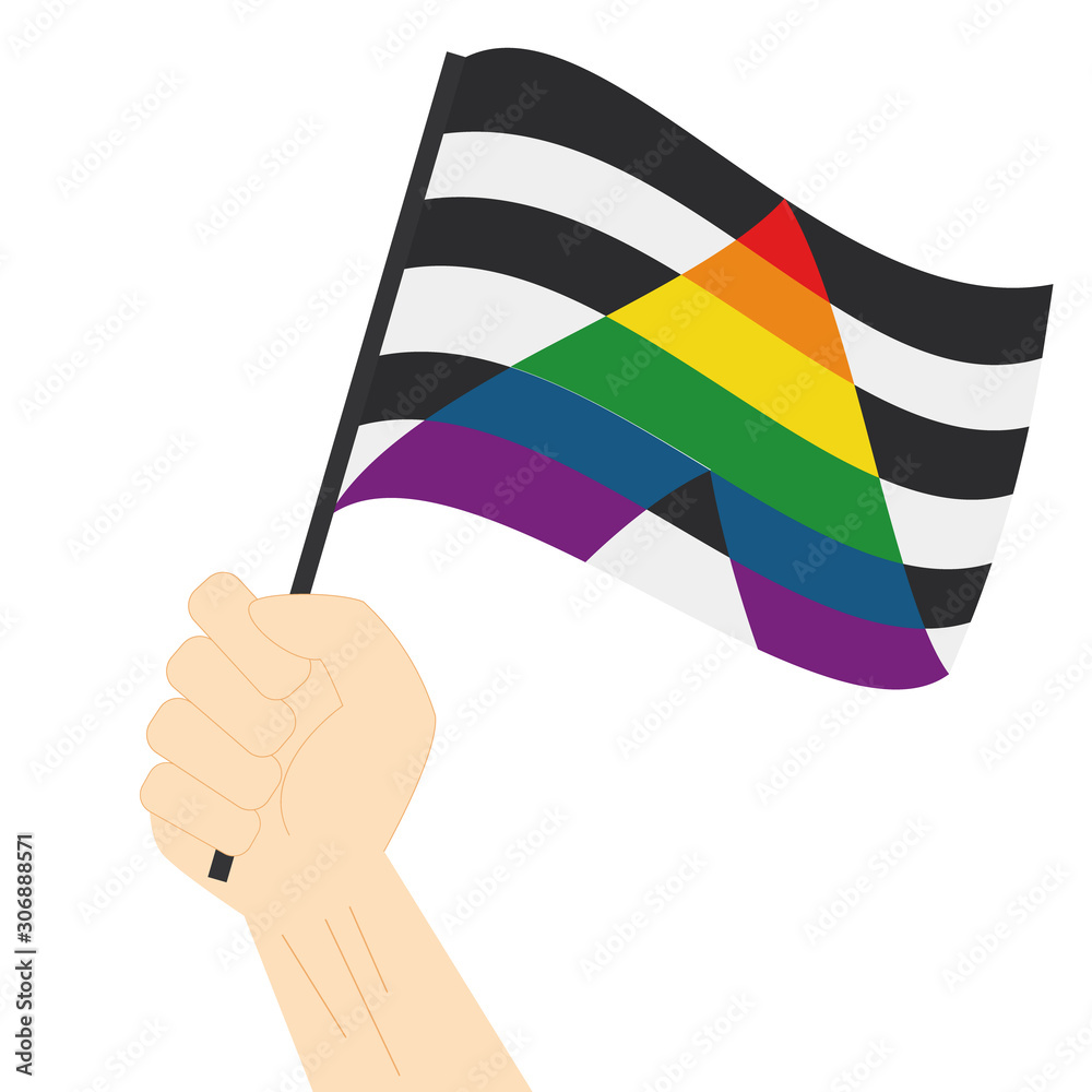 Hand holding and raising Straight Ally pride flag isolated on white ...