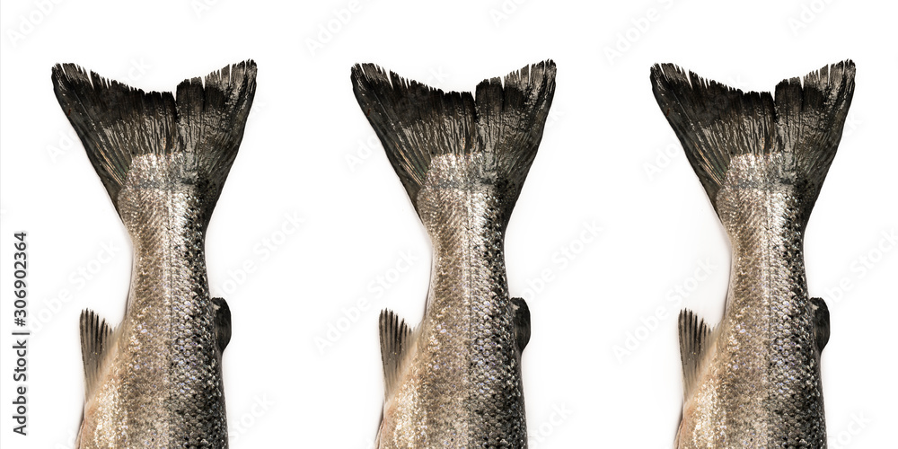 Three Salmon tail. Concept extraction of fish in the ocean, fish trade ...