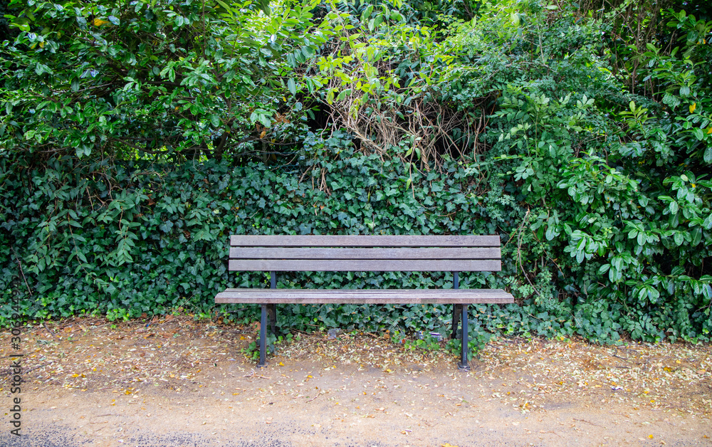 Bancos de jardim em um parque arborizado ótimo para descanso, ao redor ...