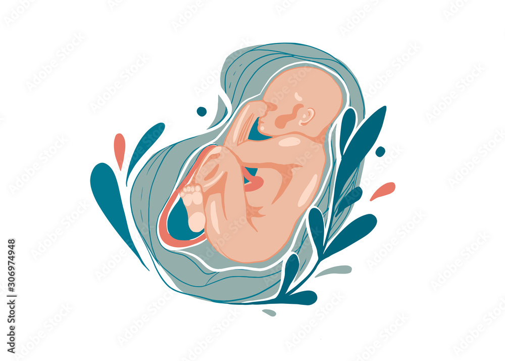Cute little baby inside mothers belly. Prenatal care. Vector ...