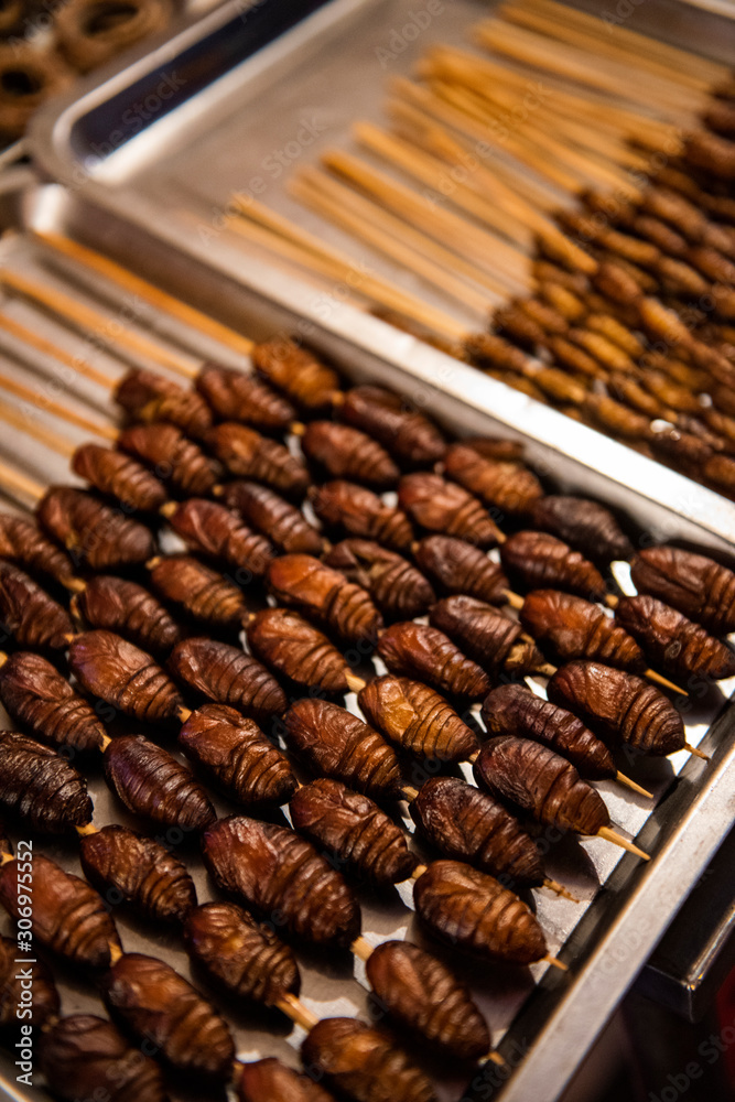 Grill and fried silkworm pupae in a food market in Beijing, China ...